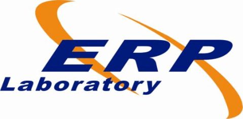 ERP CEO总结（八篇） - 范文118