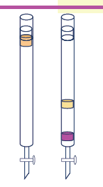 柱色谱实验报告（八篇） - 范文118
